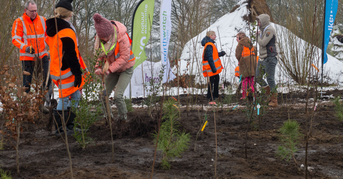 VolkerWessels legt Tiny Forests aan in Warffum en Borger | VolkerWessels